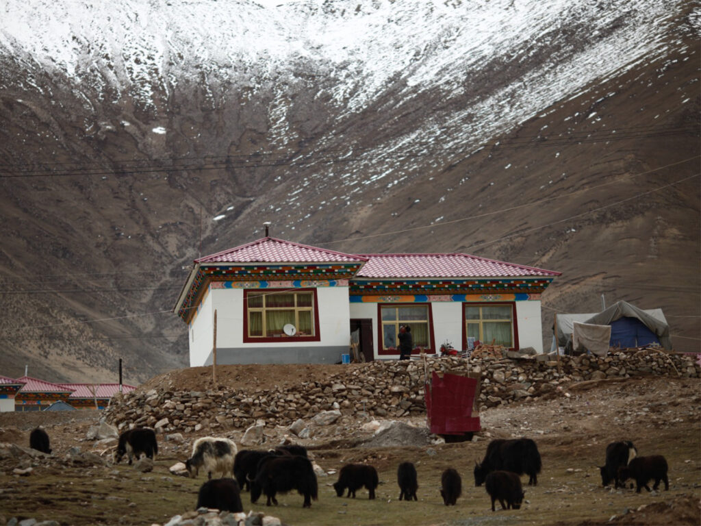 Earthquake of magnitude 4.1 strikes Tibet - Desi Talk's Chicago