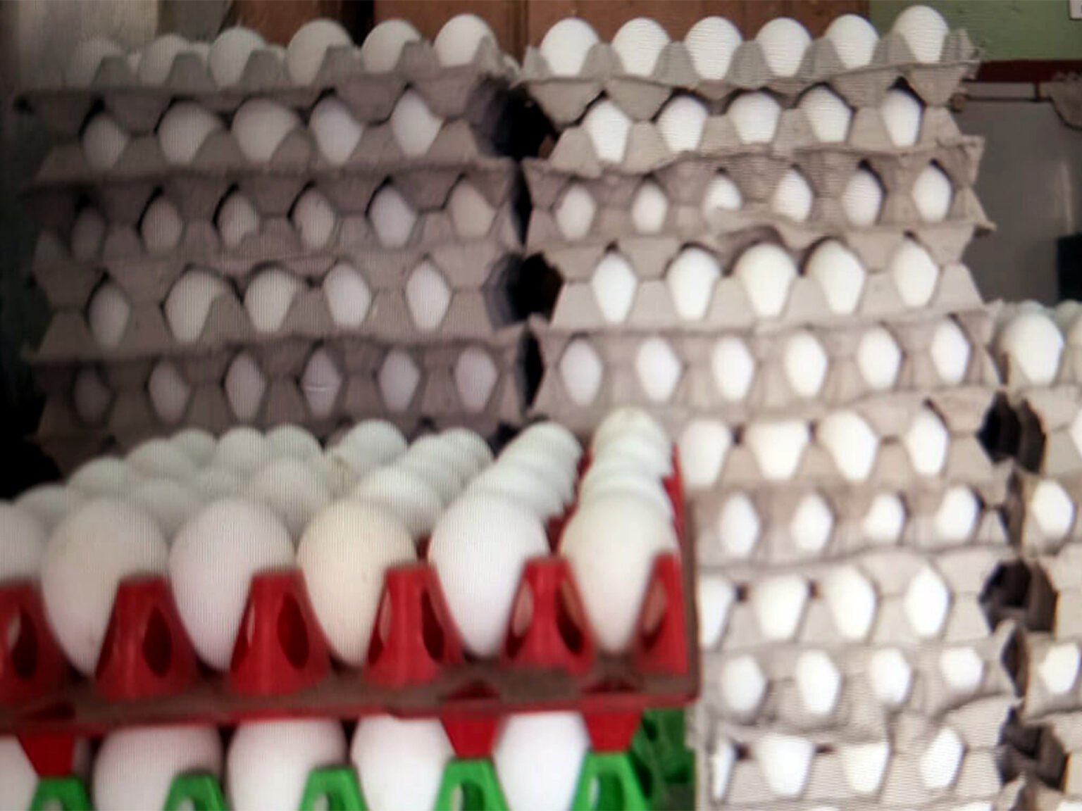 FSSAI to collect samples to check nitrofurans presence in eggs - Desi ...