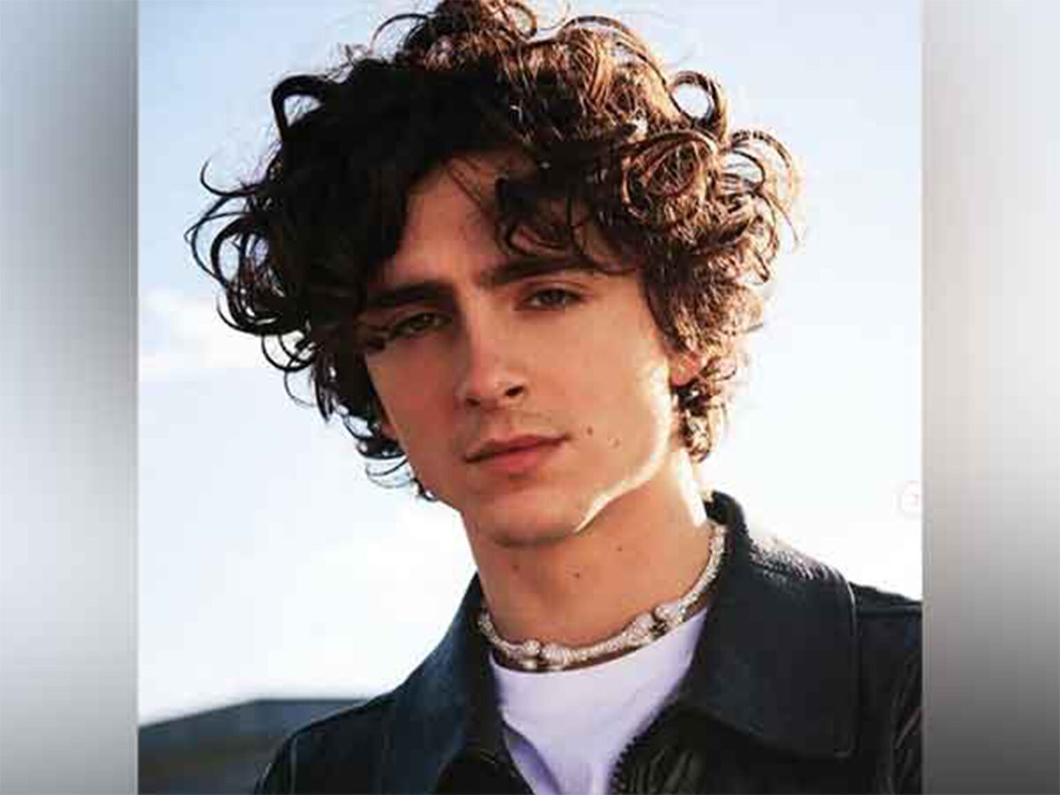 Timothee Chalamet shuts down alter ego rumours, collaborates with ...